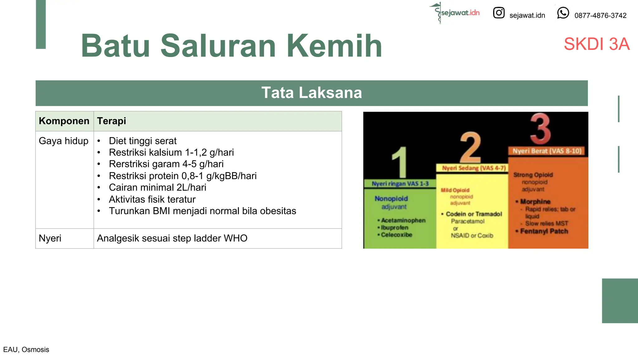 Urologi dan Nefrologi Kedokteran UKMPPD 1 | PDF