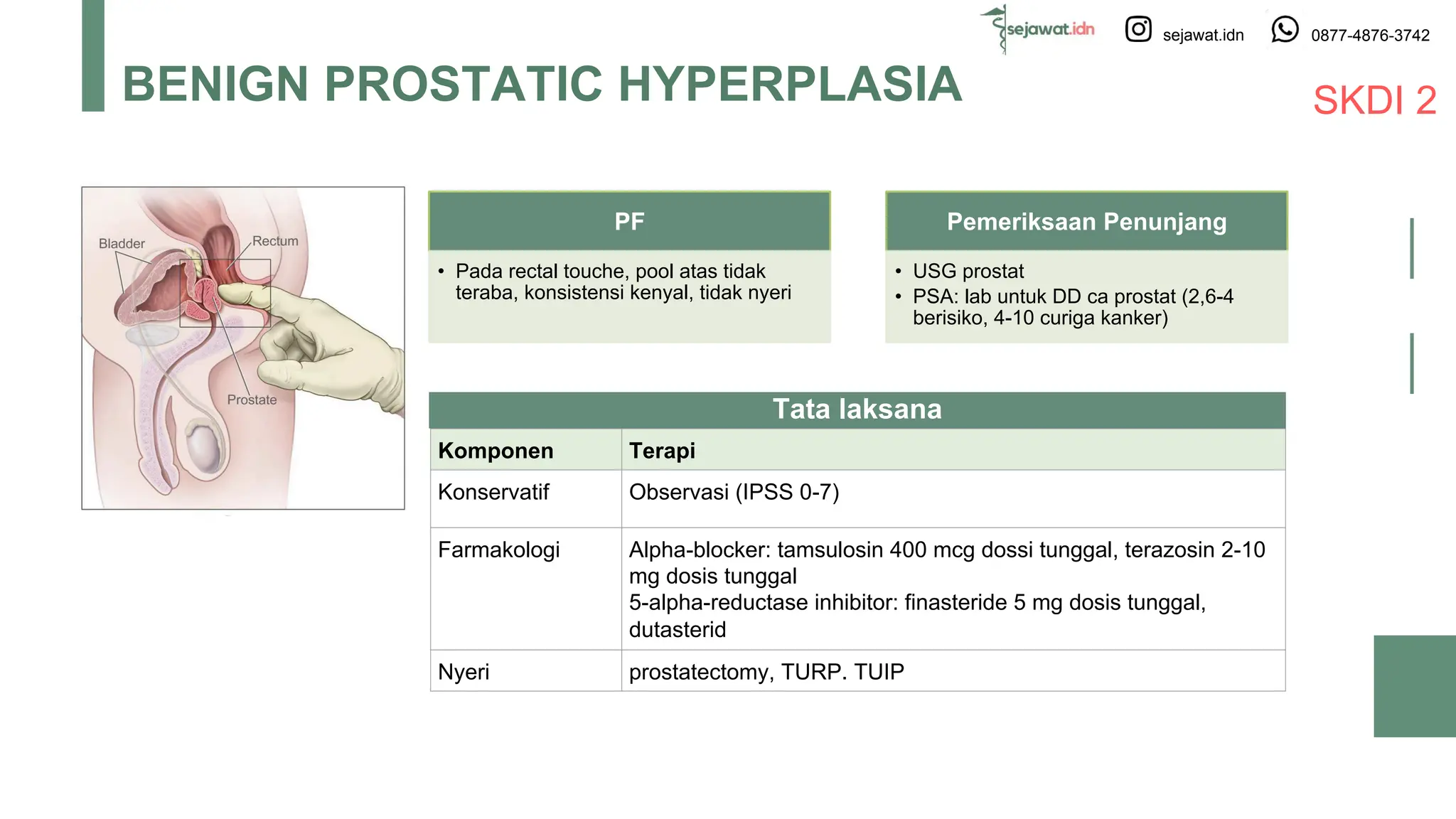 Urologi dan Nefrologi Kedokteran UKMPPD 1 | PDF