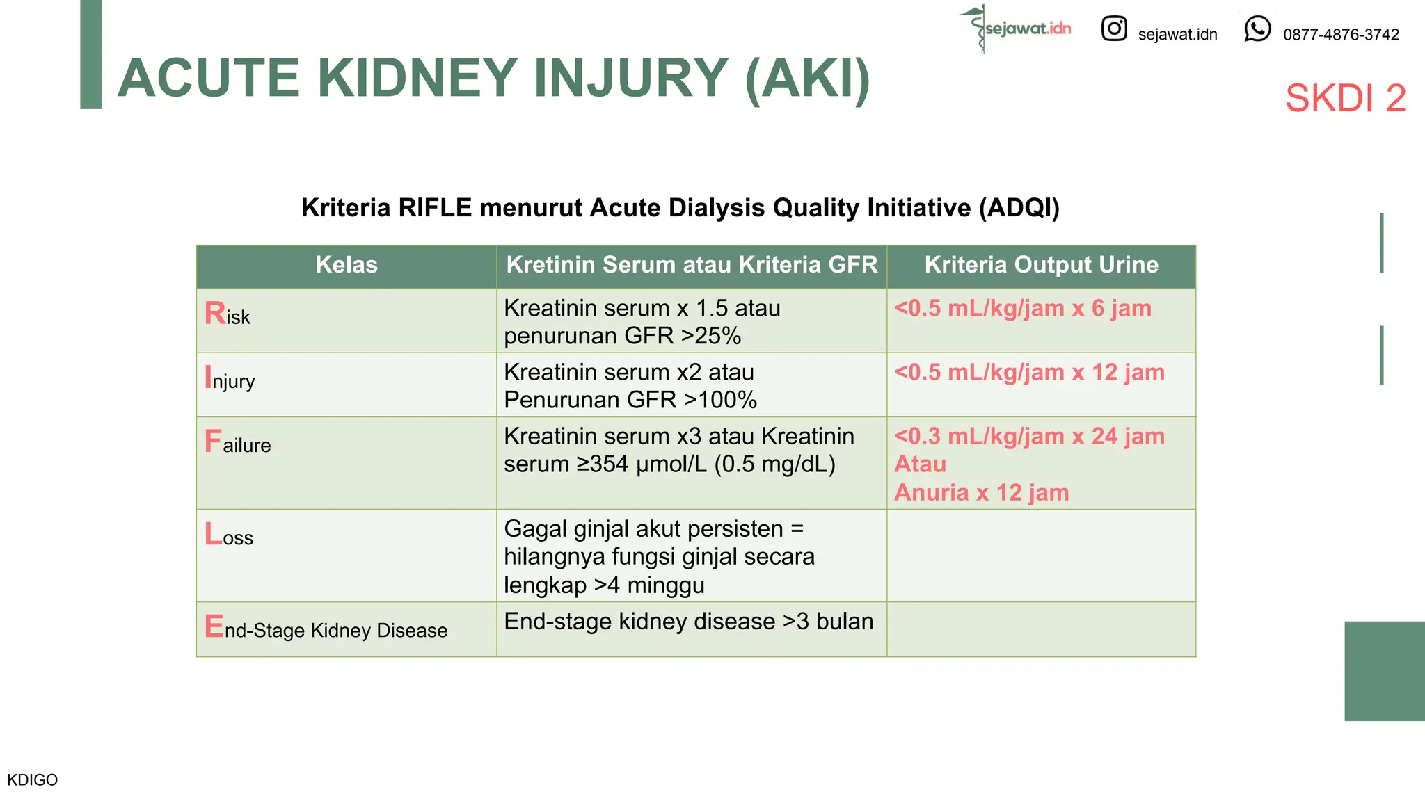 Urologi dan Nefrologi Kedokteran UKMPPD 1 | PDF