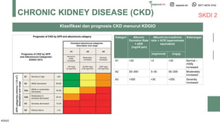 Urologi dan Nefrologi Kedokteran UKMPPD 1 | PDF
