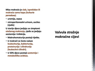 Urologija dječje dobi | PPSX