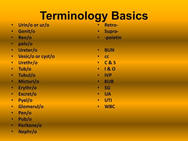 Urology | PPT