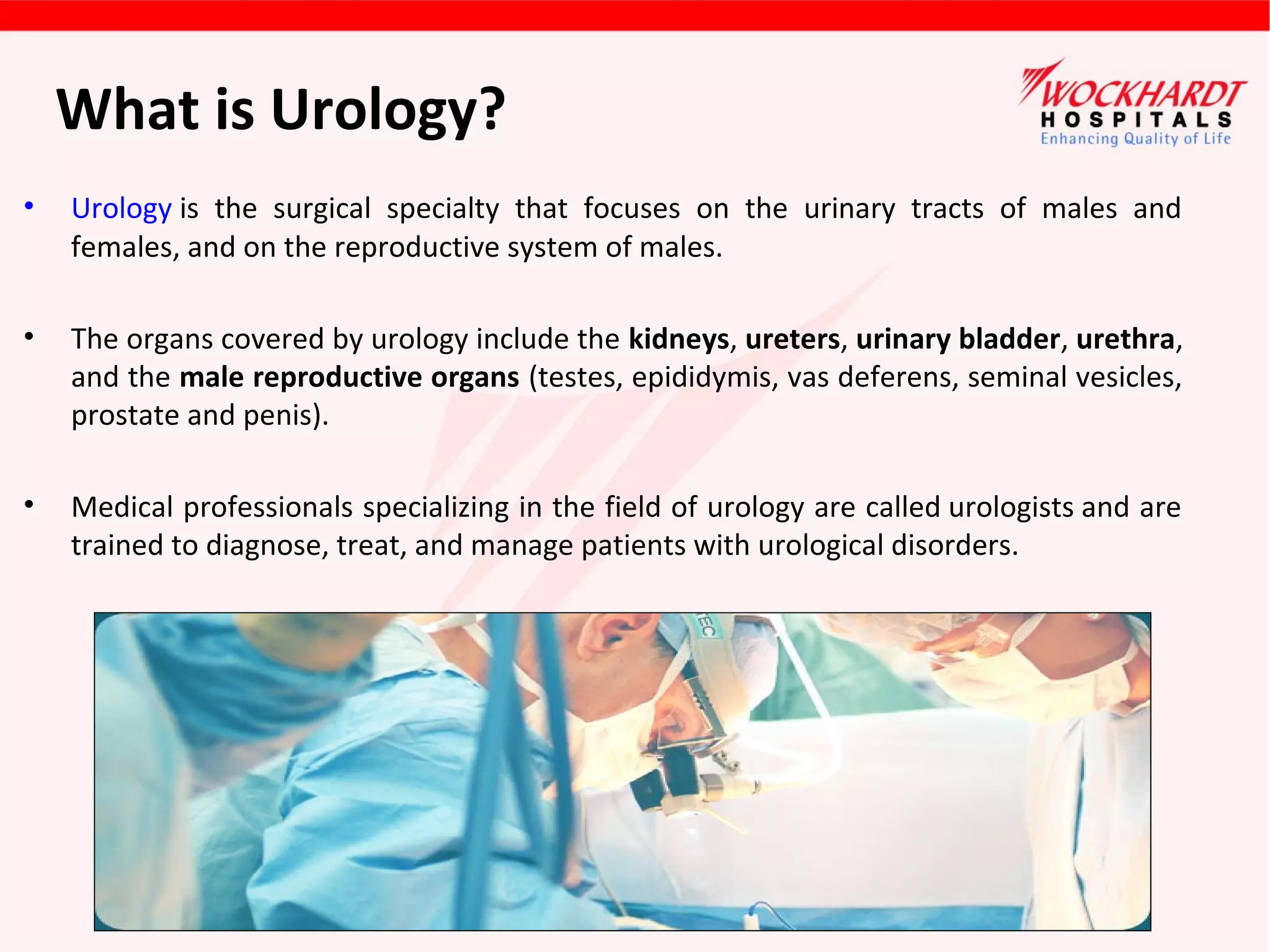 Urology | PPT