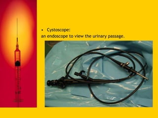 Urology | PPTX