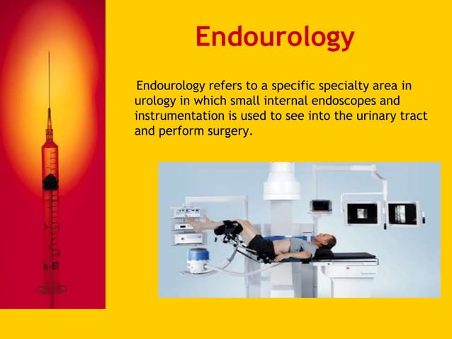 Urology | PPTX