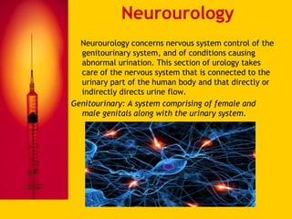 Urology | PPTX