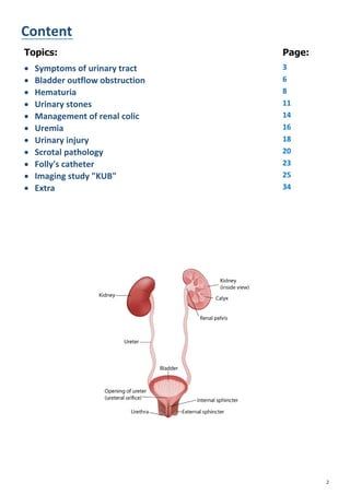Urology | PDF