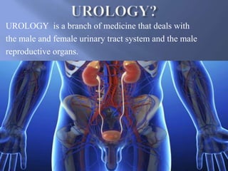 Austin Journal of Urology | PPT