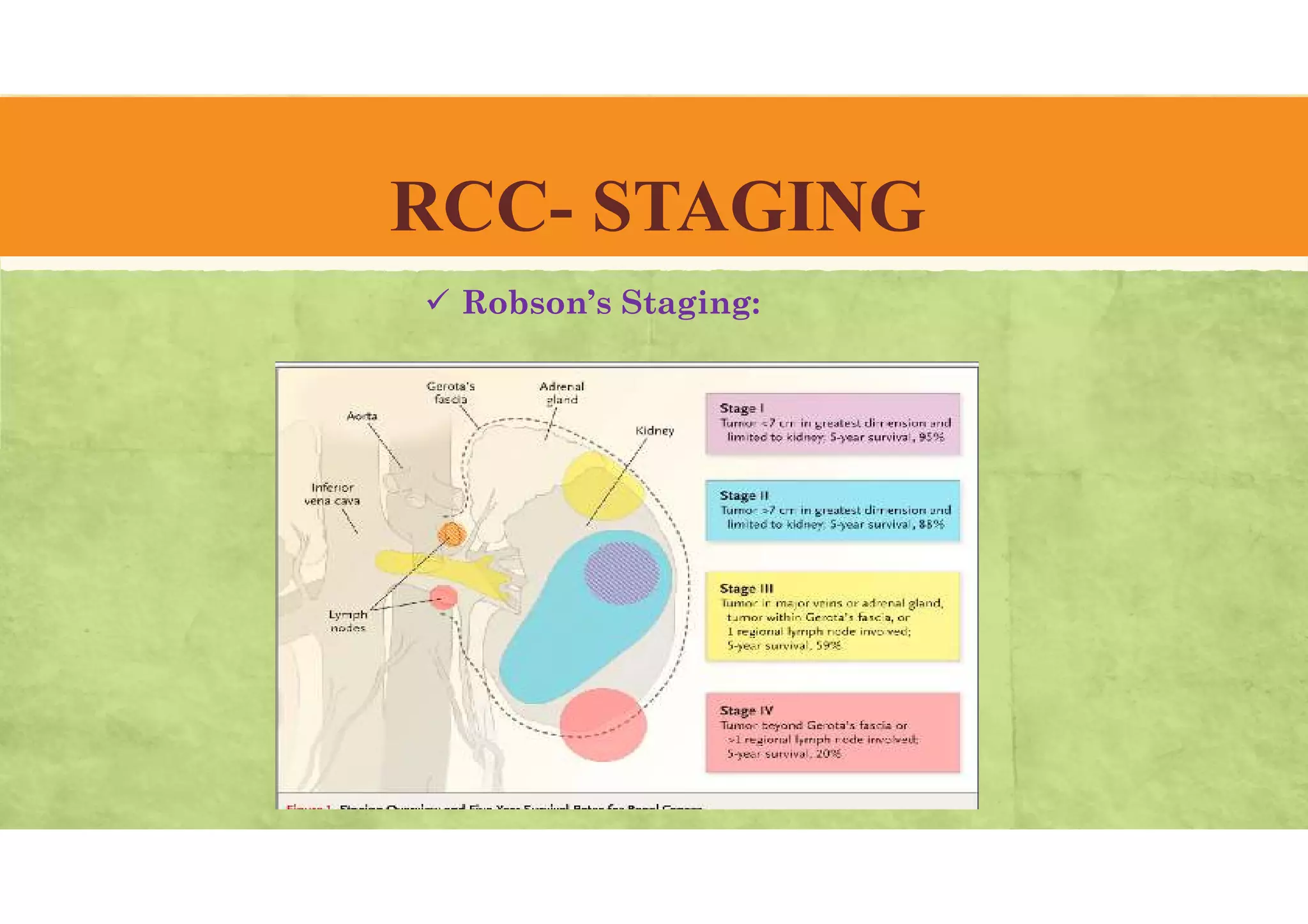 Urology- Hematuria, Renal/Ureteric colic and Bladder Outlet Obstruction ...
