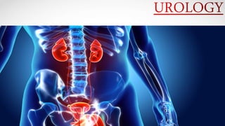Urology department | PPTX