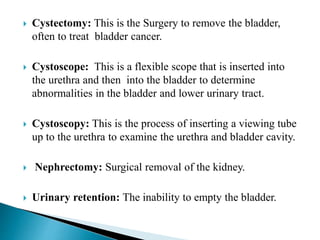 UROLOGY class presentation. Introduction | PPT