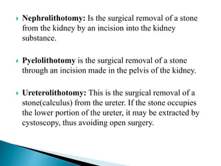 UROLOGY class presentation. Introduction | PPT