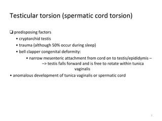 Urology 37 torsion_of_the_testis_or_of_the_spermatic | PPT