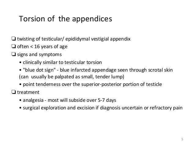 Urology 37 Torsion Of The Testis Or Of The Spermatic