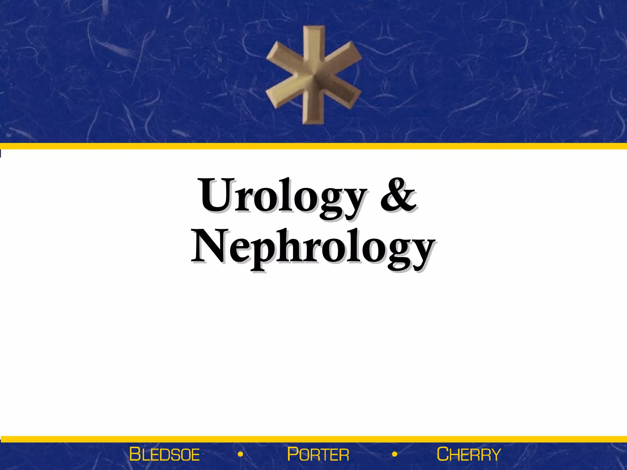 Urology and nephrology | PPT