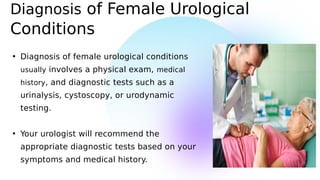 Urology Care for Women: Specialized Treatment for Female Urological ...