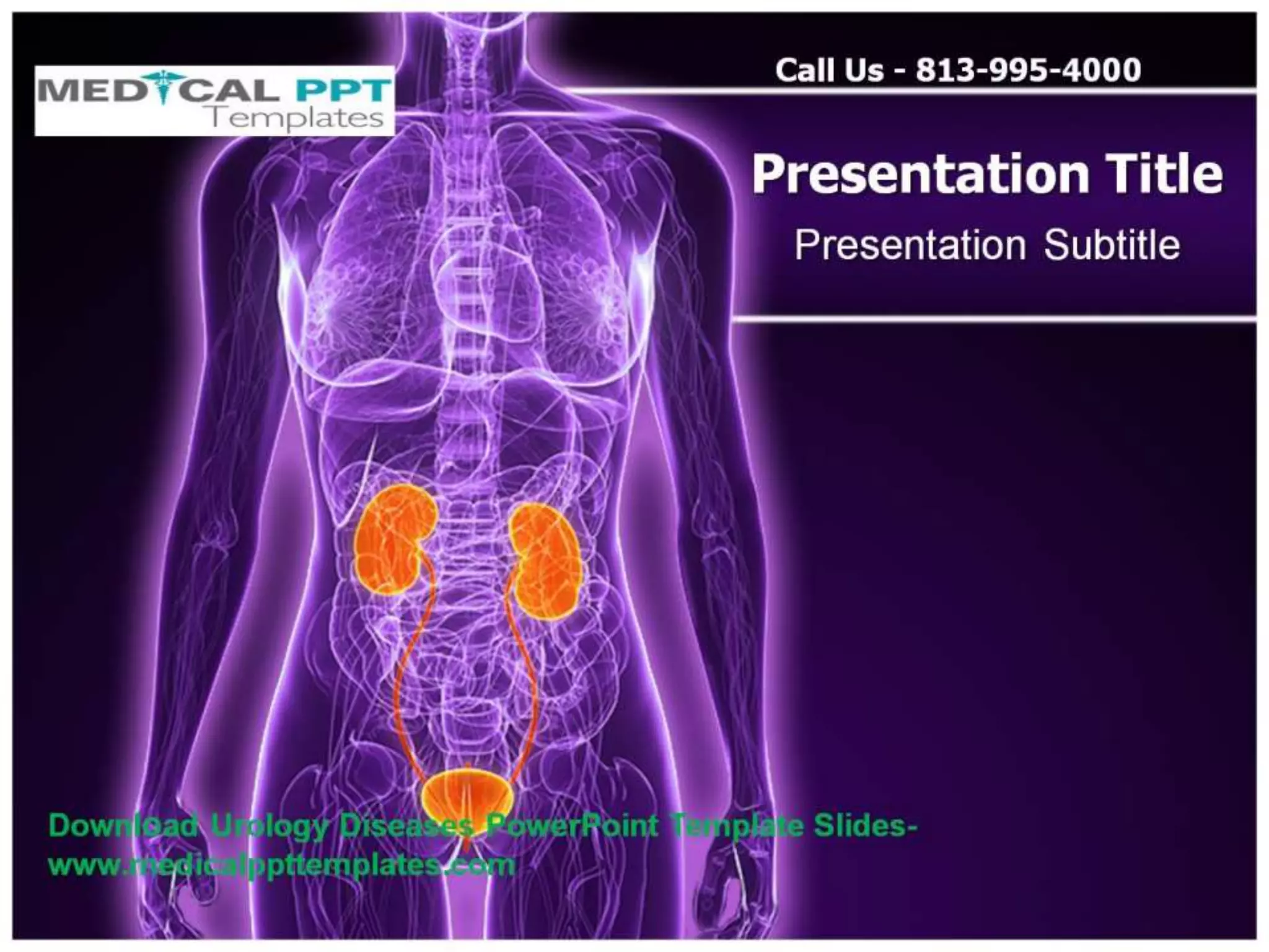 Urology Diseases PowerPoint Template Slides | PPTX