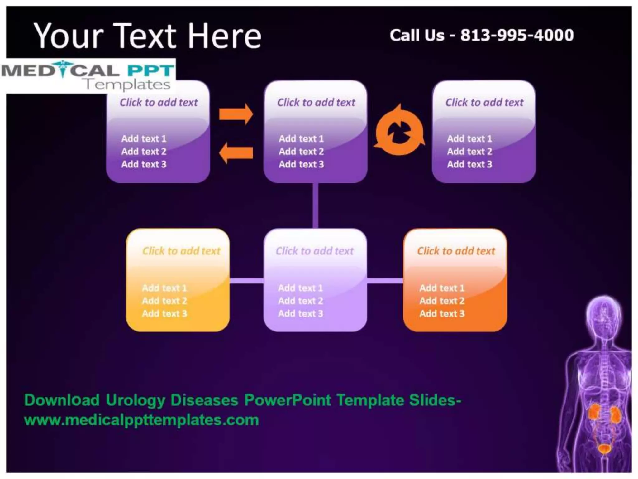 Urology Diseases PowerPoint Template Slides | PPTX