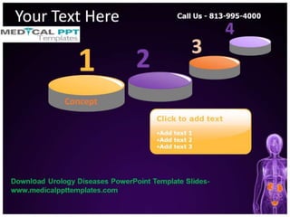 Urology Diseases PowerPoint Template Slides | PPTX
