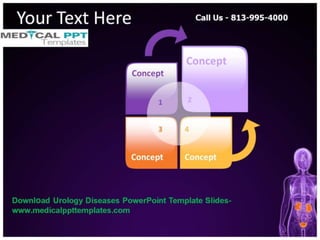 Urology Diseases PowerPoint Template Slides | PPTX