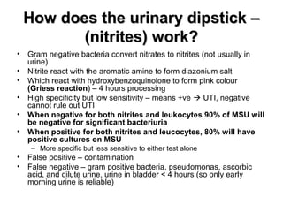 Urology infection [Dr. Edmond Wong] | PPT