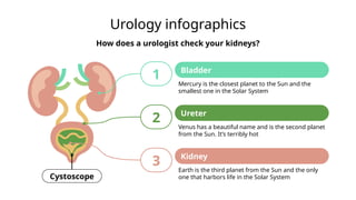 Urology Infographics by Slidesgo Urologia | PPTX