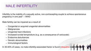 UROLOGY IN MENS HEALTH FOR GENERAL POPULATION.pptx