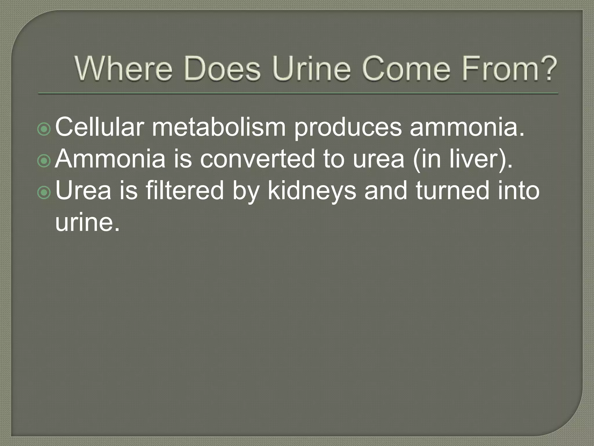 Genitourinary and Renal Emergencies | PPTX