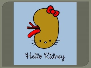 Genitourinary and Renal Emergencies | PPT