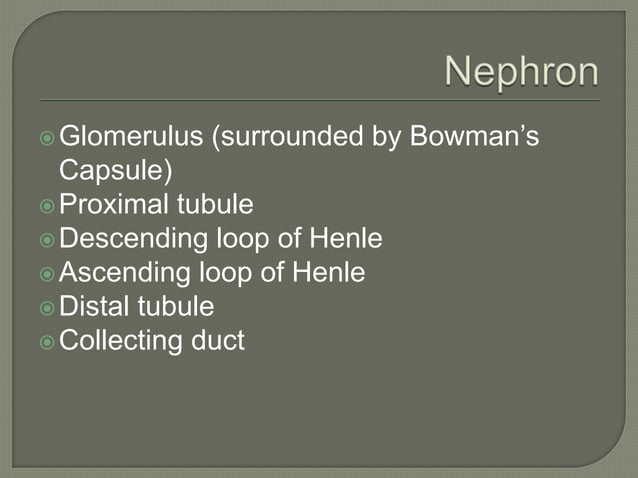 Genitourinary and Renal Emergencies | PPTX