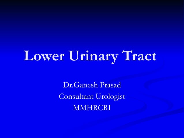 urology for nurses short presentation.pptx | Endocrine and Metabolic ...