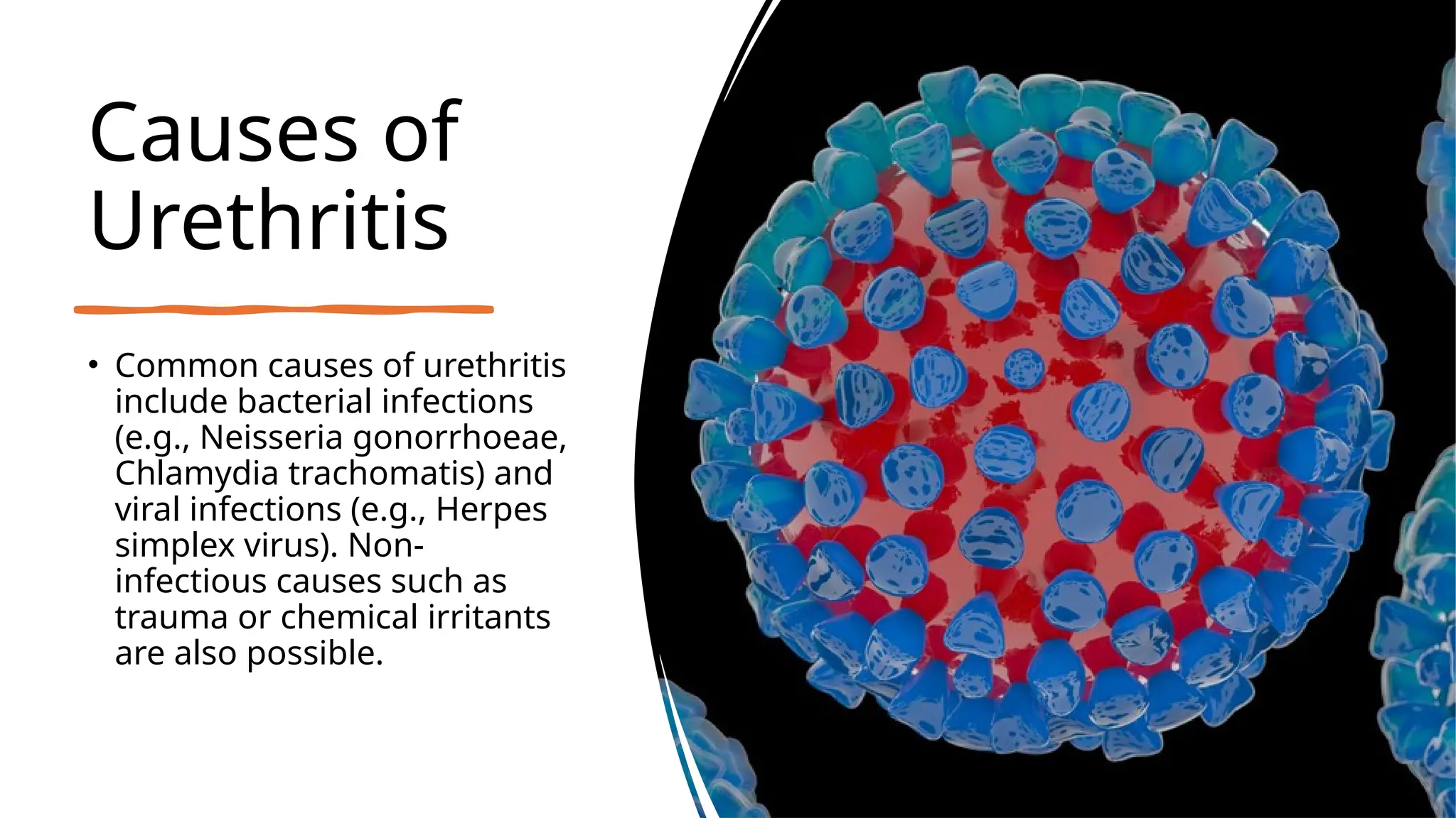 Understanding Urethritis Urology Medicine | PPT
