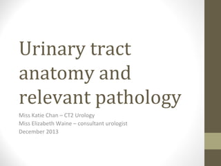 Urology presentation | PPT