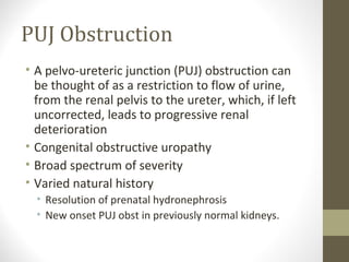 Urology presentation | PPT
