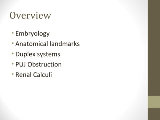 Urology presentation | PPT