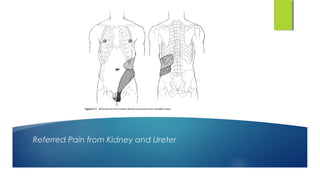 Symptoms and Signs of different Diseases in Urology | PPT