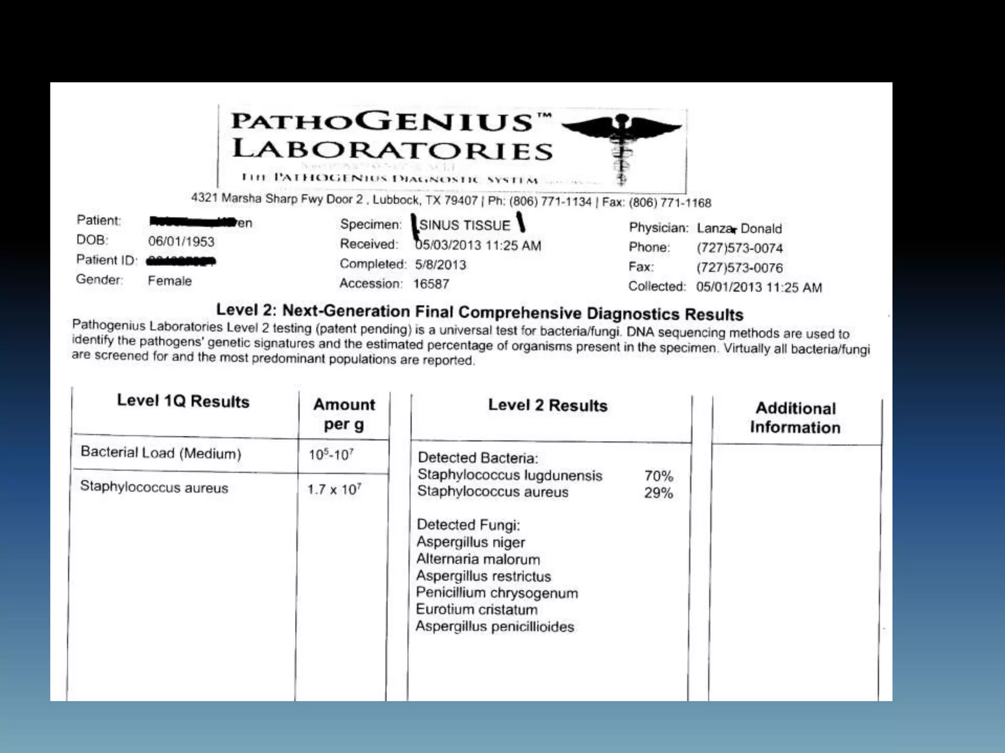 Urology Presentation | PPTX