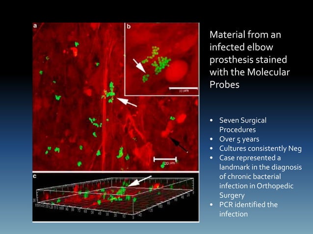 Urology Presentation | PPT