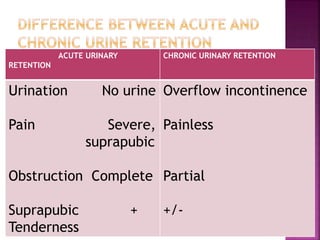 urology presentaton 1 bph.pptx