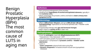 Approach to Urology Disease Revision.pptx