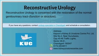 Urology specialist in chandigarh - KUC | PPT