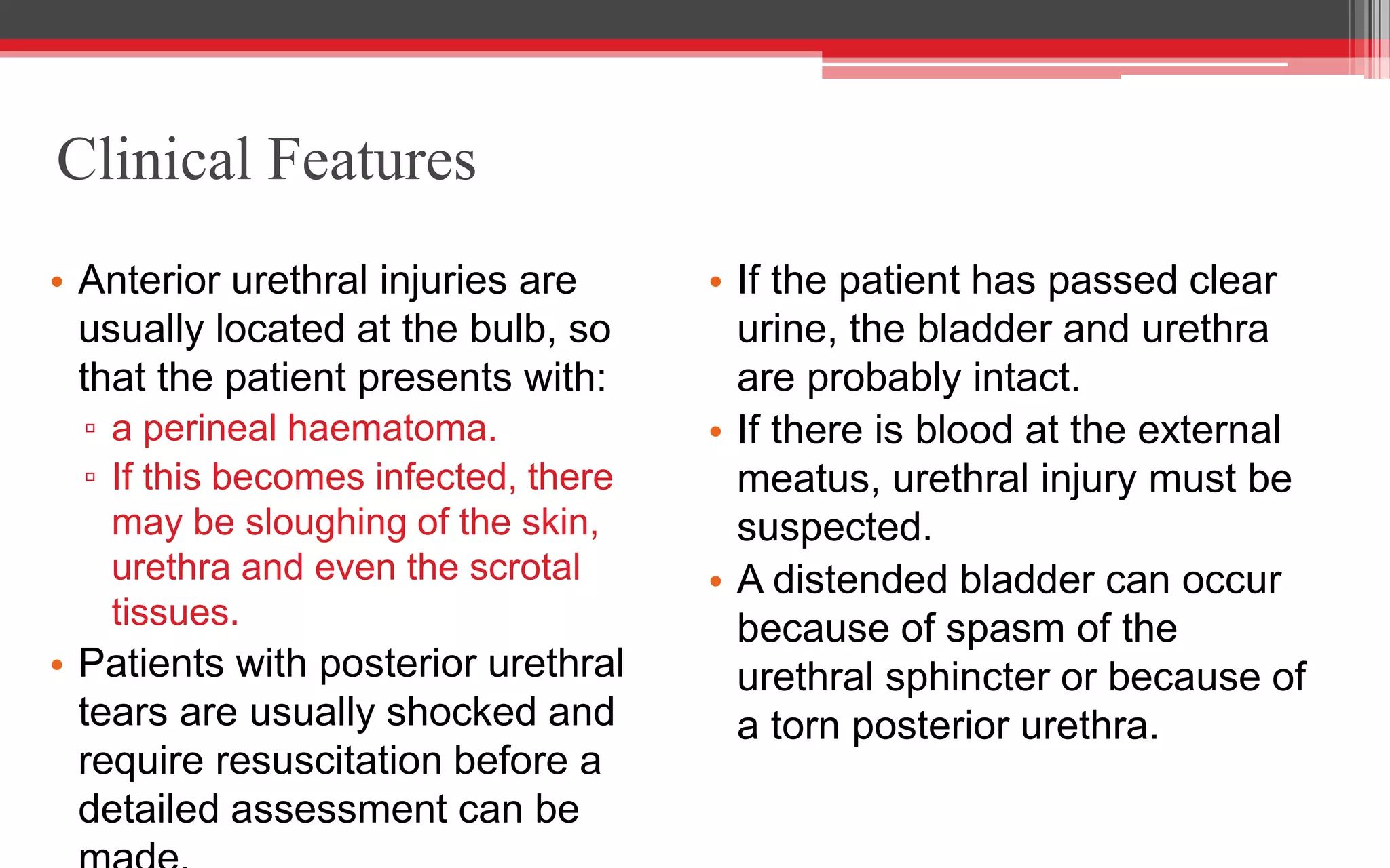 Urology surgery. Bladder, Urethra and Prostsate | PPTX