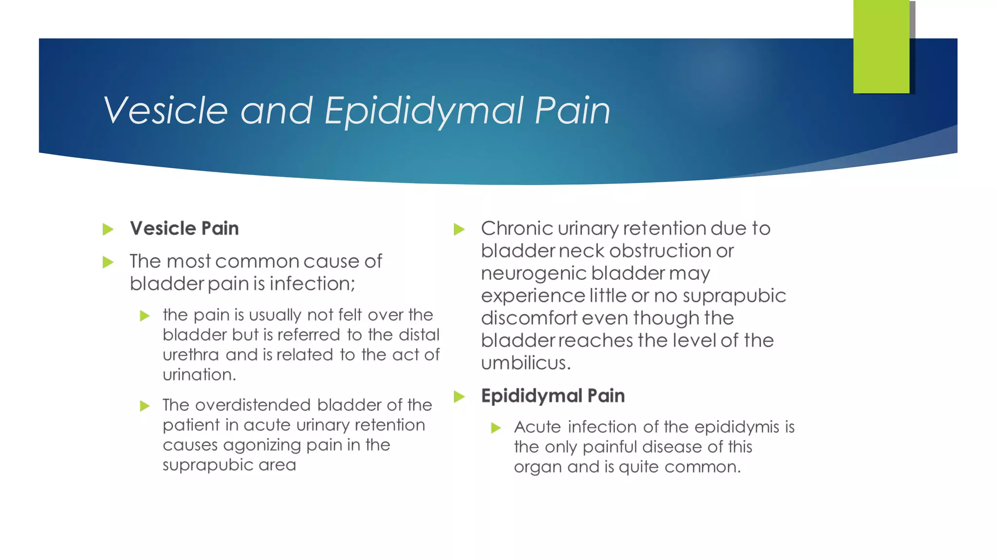 Urology Symptoms of urology | PDF
