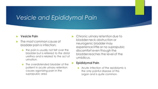 Urology Symptoms of urology | PPT