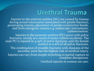urology trauma english.pptx