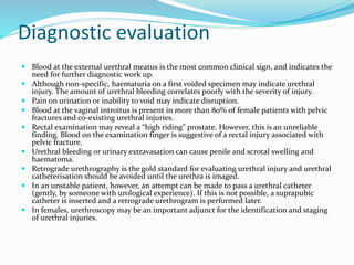 urology trauma english.pptx