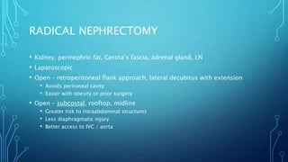 Urology tutorial v5 | PPT