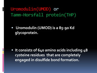 Uromodulin | PPTX