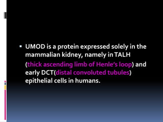 Uromodulin | PPTX