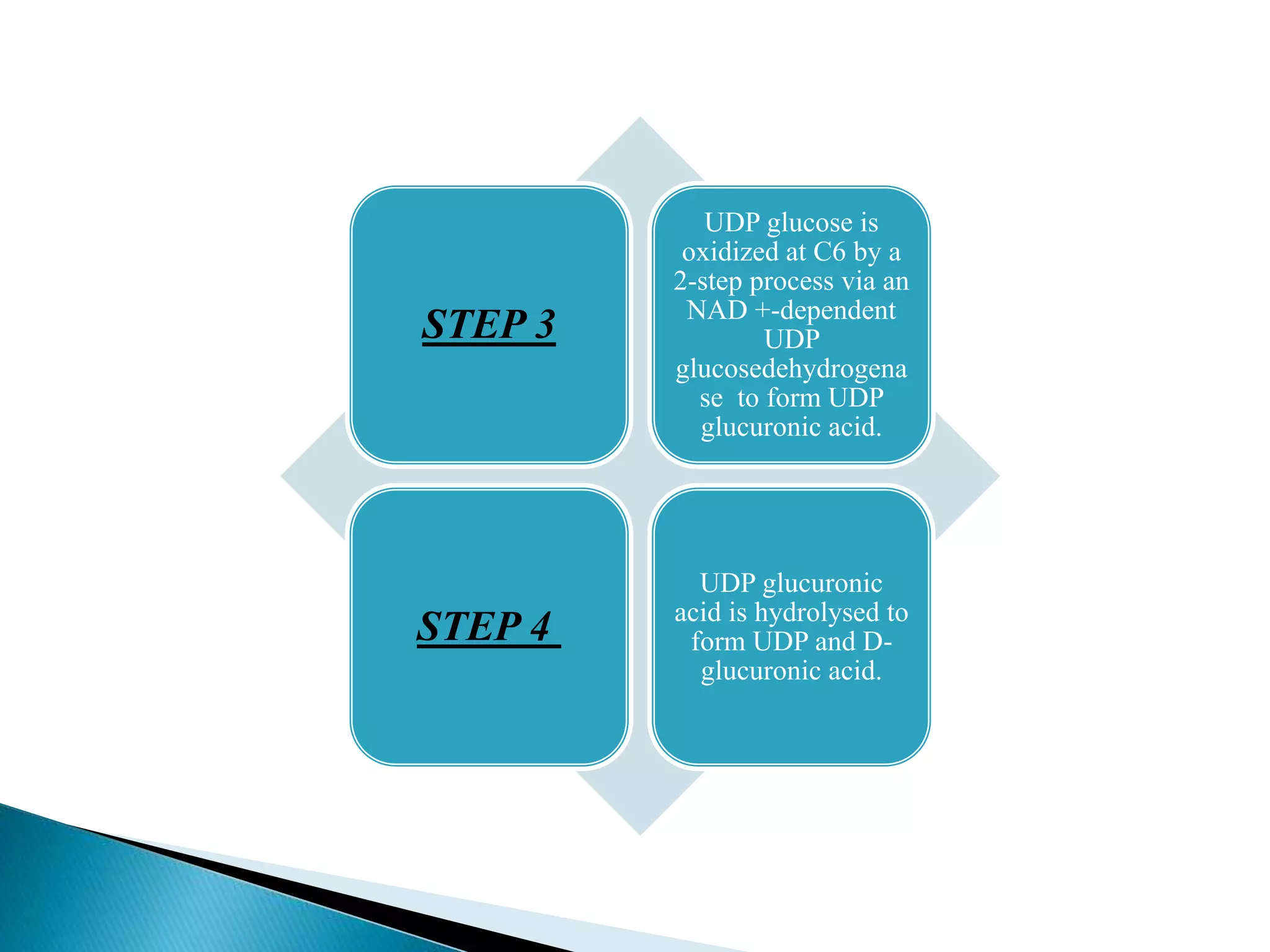 URONIC ACID PATHWAY | PPTX